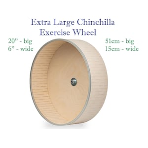 Extra-large 20'' (51cm) Chinchilla Exercise Wheel – Ultra-silent, Heavy ...