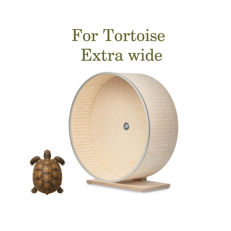 Tortoise Extra-wide Silent Running Wheel. 15cm (6") Wide Path - Etsy