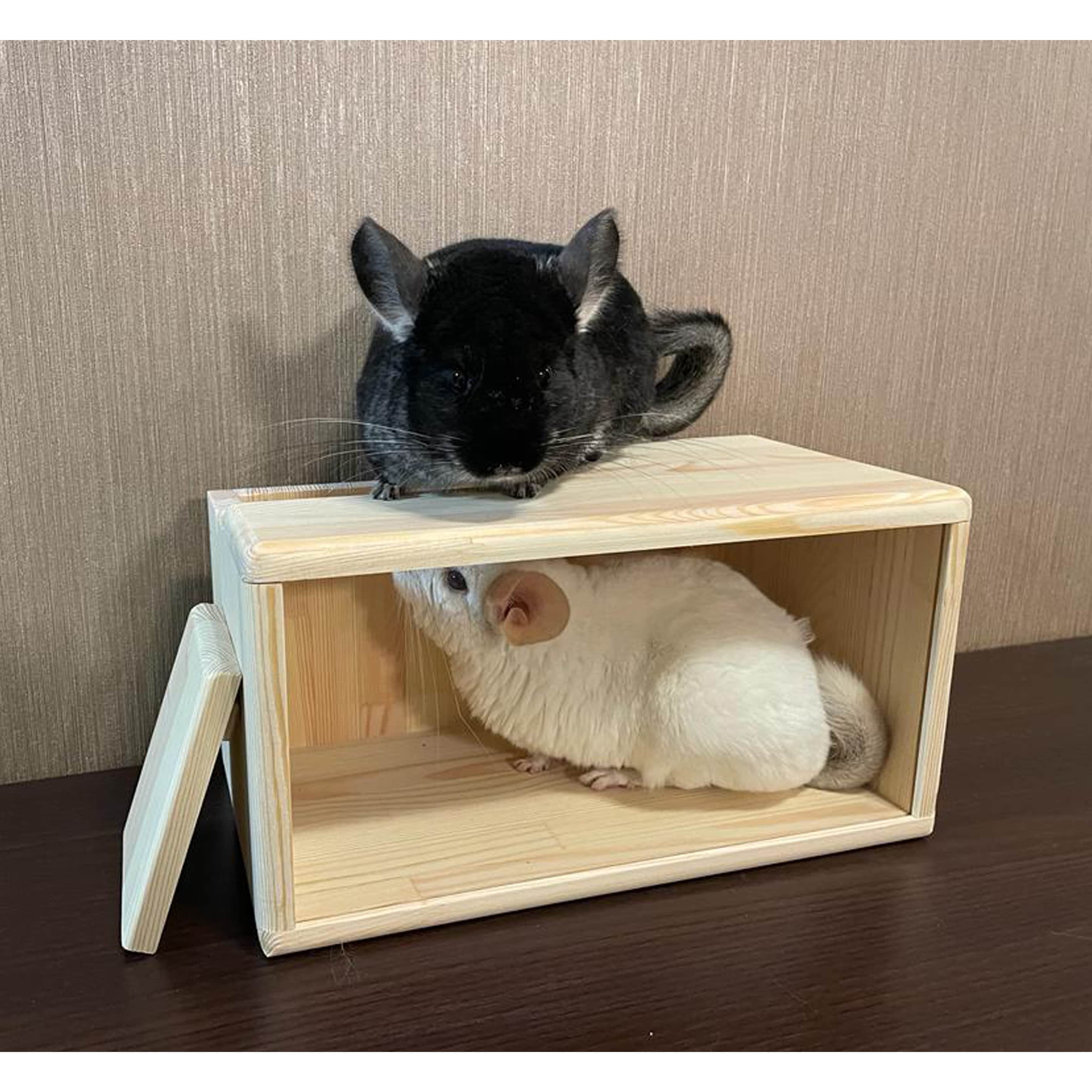 Chinchilla Dust Bath