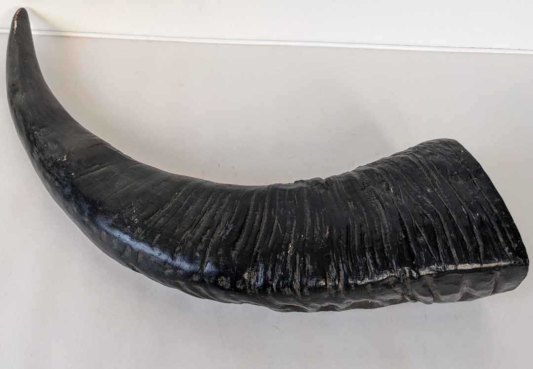 Vintage Fiberglass Replica of Rhino Horn 19in Long Home Decor - Etsy