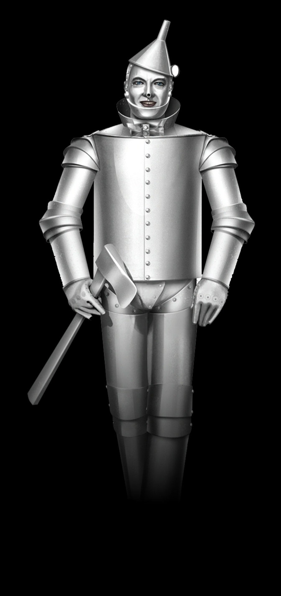 Customized Wizard of Oz Tin Man's Full Body Armor Medieval Full Body ...