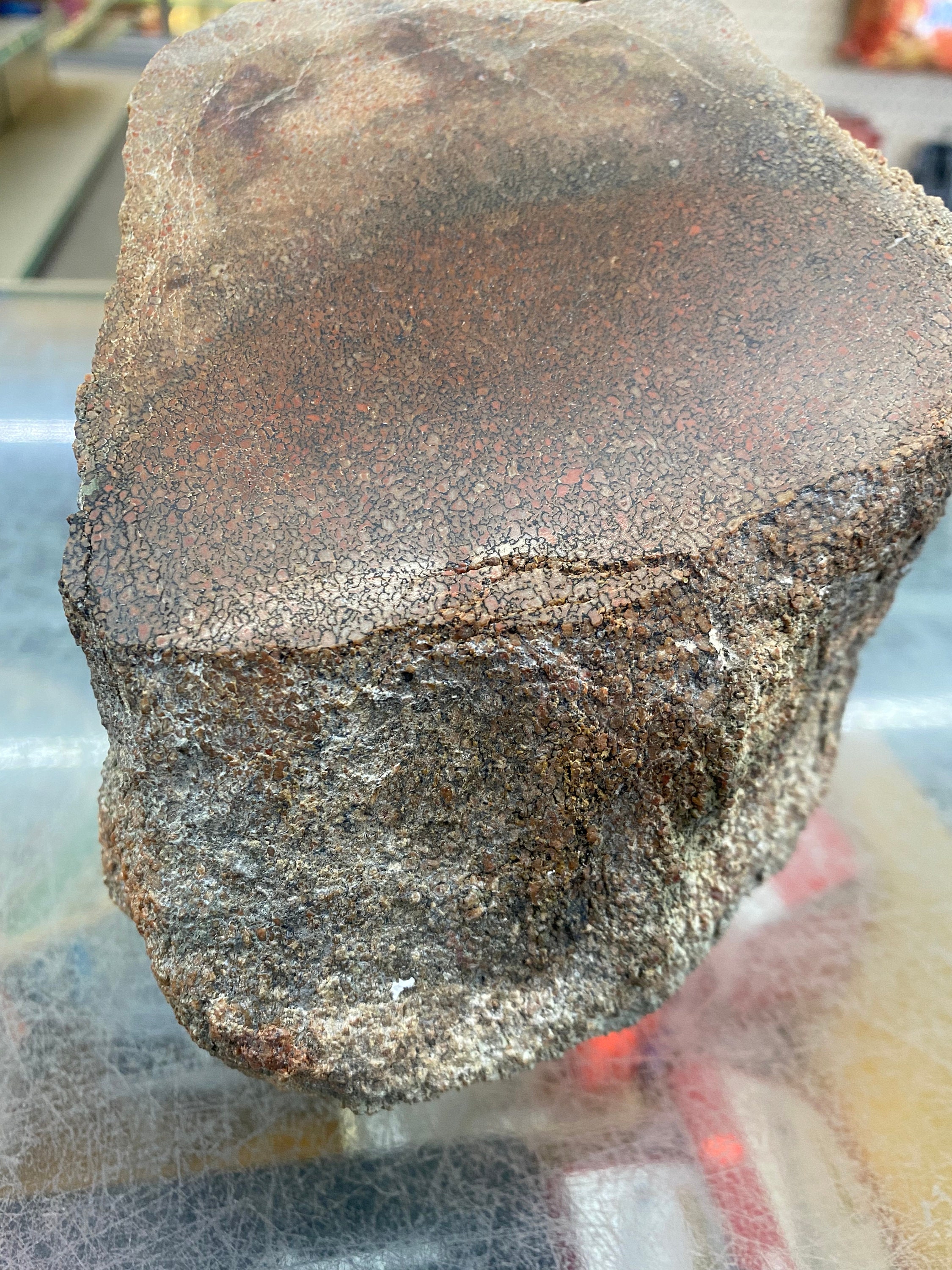 Extra Large Dinosaur Red Gembone - Etsy