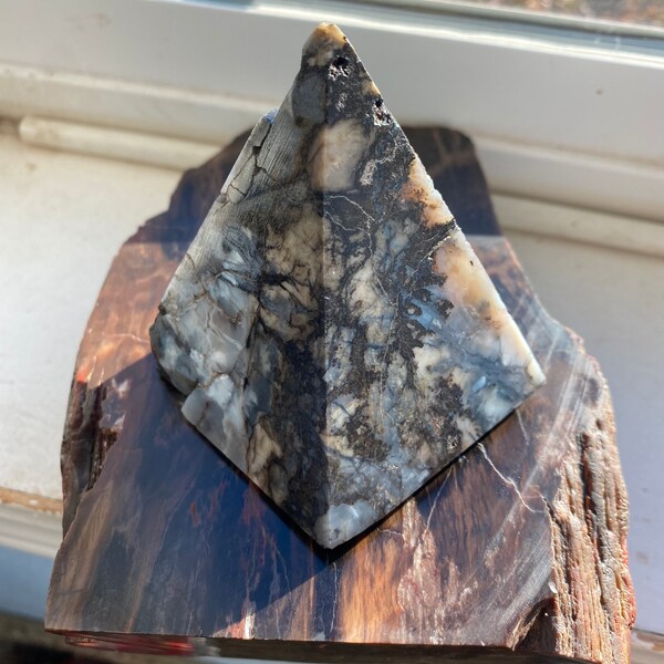 Coprolite - Etsy
