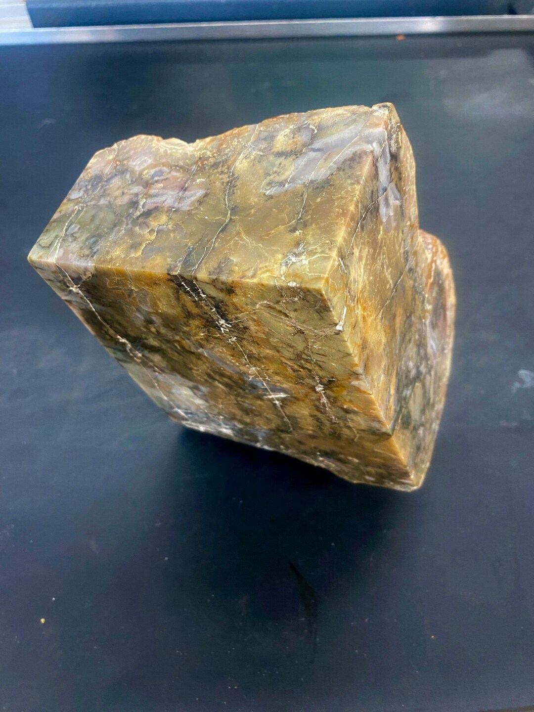 Extra Large 6 Lb Polished Coprolite Dinosaur Poop . - Etsy