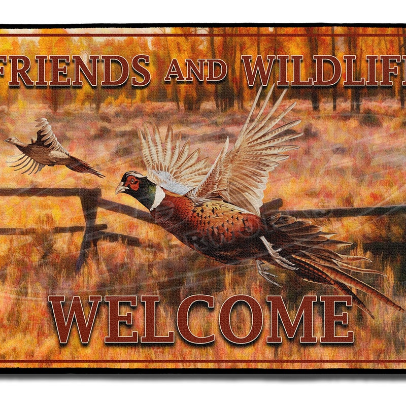 Pheasant Decor - Etsy