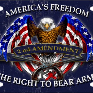 Second Amendment License Plate Tag, America License Plates, USA Themed ...