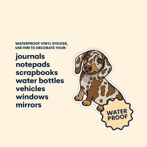 Chocolate Dapple Dachshund Sticker | Sausage Dog Stickers | Car Window ...