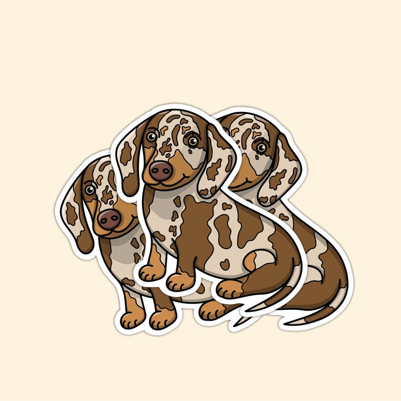 Chocolate Dapple Dachshund Sticker | Sausage Dog Stickers | Car Window ...
