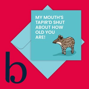 Baby Tapir Birthday Card | Funny Greetings | Fun | Old Age | for Mum ...