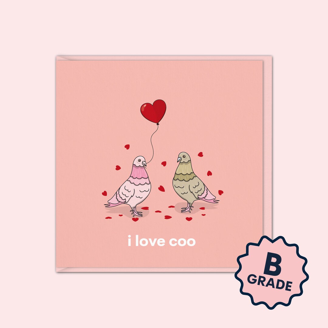 Pigeon Valentines Card Funny Valentines Card for Her I Love Coo for ...