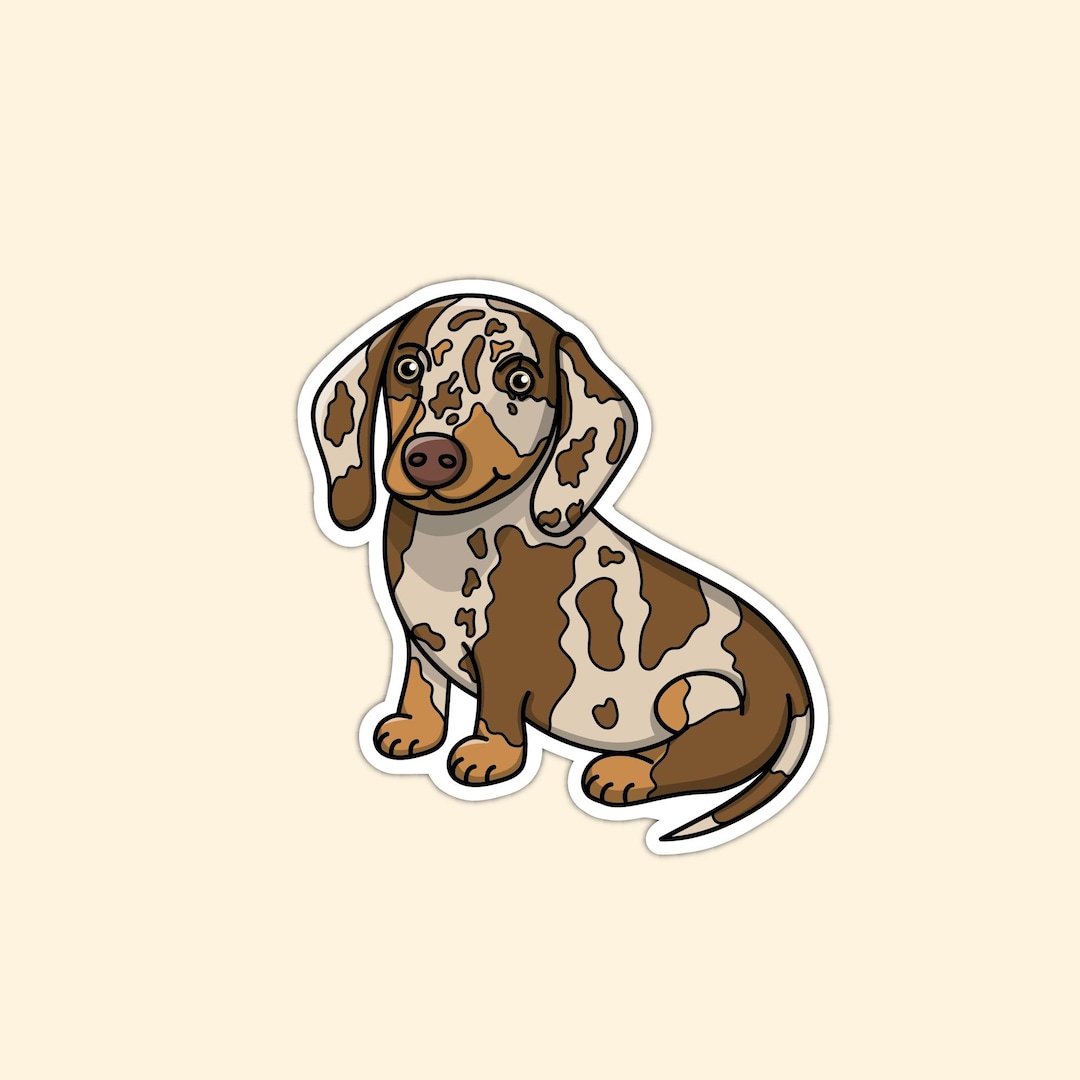 Chocolate Dapple Dachshund Sticker | Sausage Dog Stickers | Car Window ...