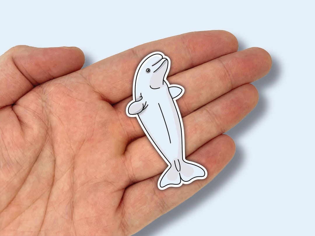 Beluga Whale Sticker | Cool Sticker | Cute Animal Sticker | Whale ...