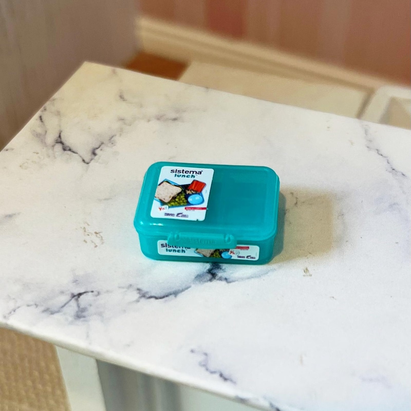 Miniature Lunch Box - Etsy