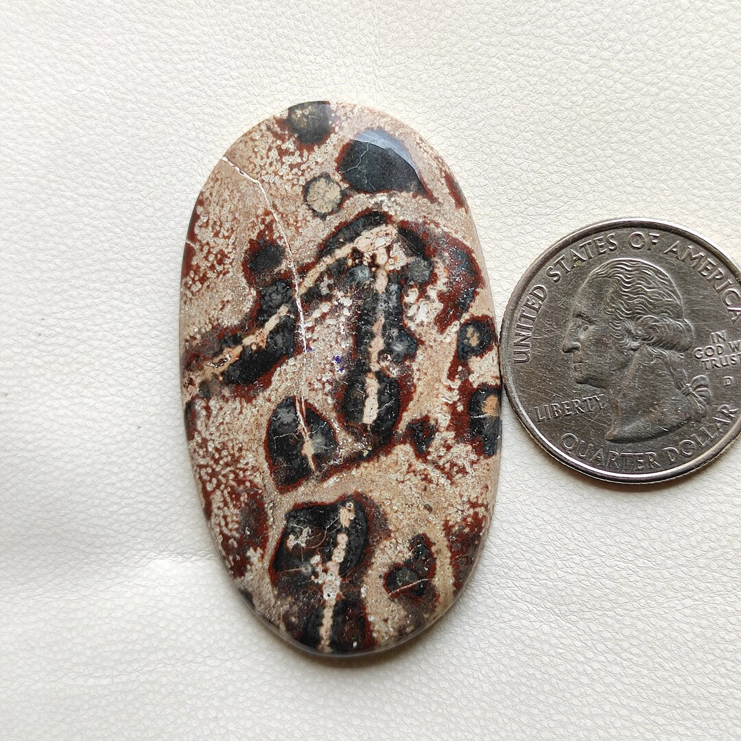Natural Brown Black Viper Skin Jasper Cabochon Designer Viper Skin ...