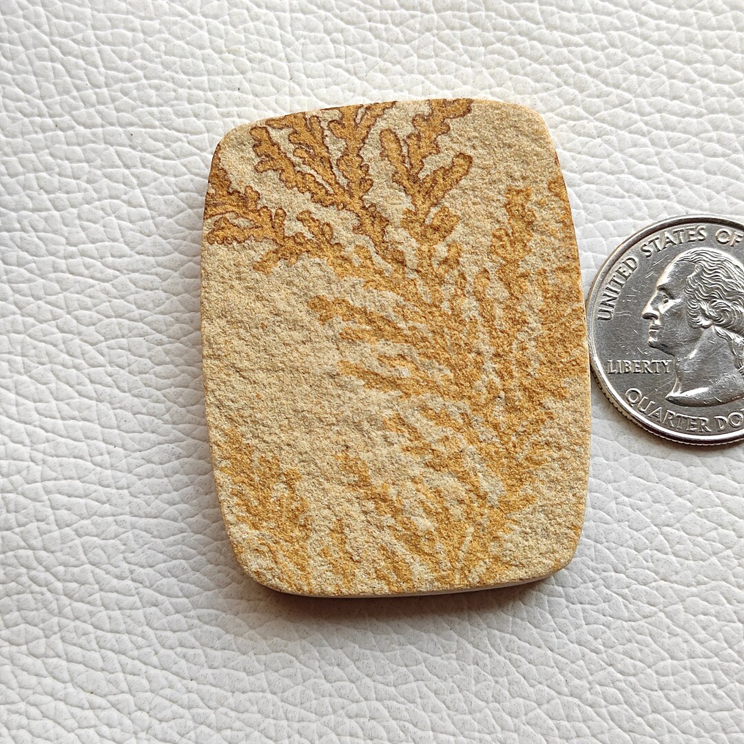 Cushion Shape Psilomelane Dendrite Cabochon Amazing Quality Natural ...