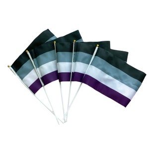 Mini Asexual Flag / Handy Asexual Flag / Trans Flag/ Gay Pride LGBTQ+ ...