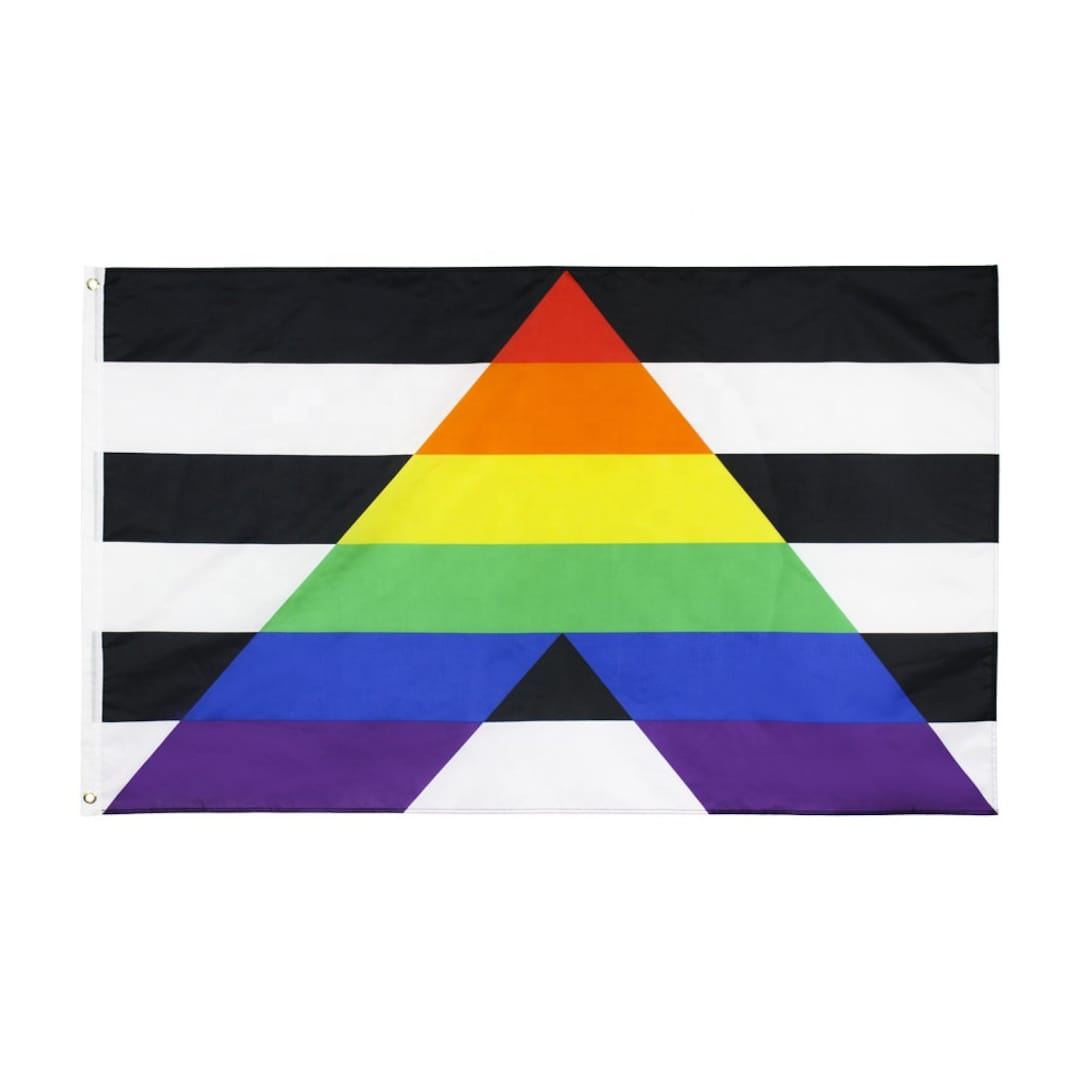 3x5feet Ally Flag / Ally Flag / Gay Pride Flag/ Gay Pride LGBTQ+ / Gay ...