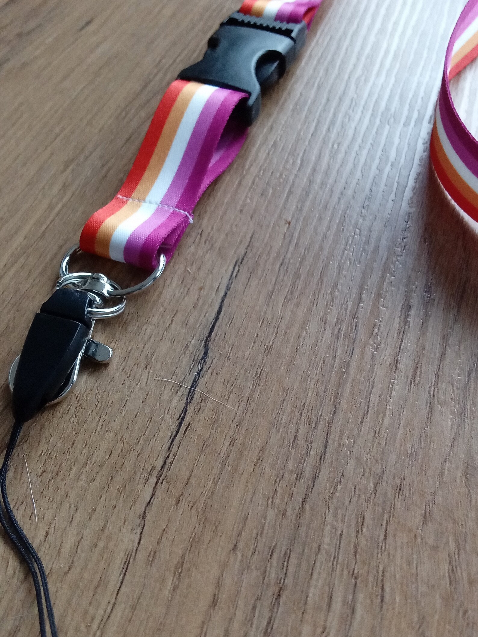 Lesbian pride lanyard lgbt leash lesbian lanyard gay pride | Etsy