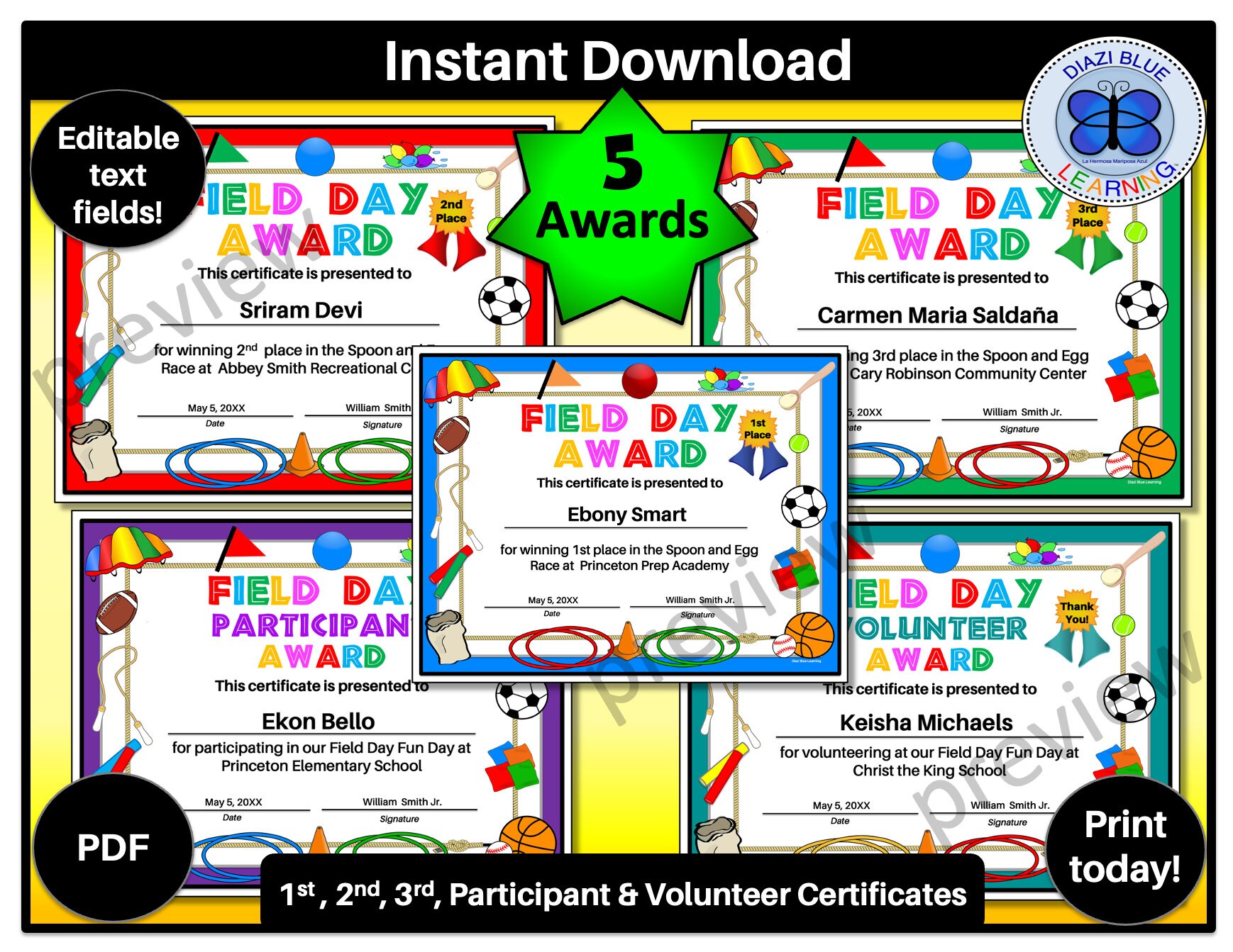 Field Day Award Set #1, Editable Field Day Certificate PDF, Field Day ...