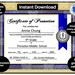 70 End of Year Award Certificates, Editable Student Certificates, End ...