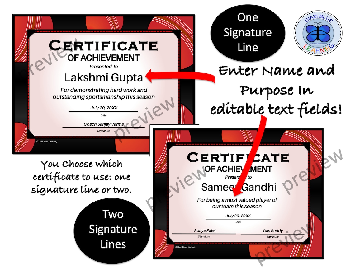 Editable Cricket Certificate, Cricket Certificate With 1 or 2 Signature ...