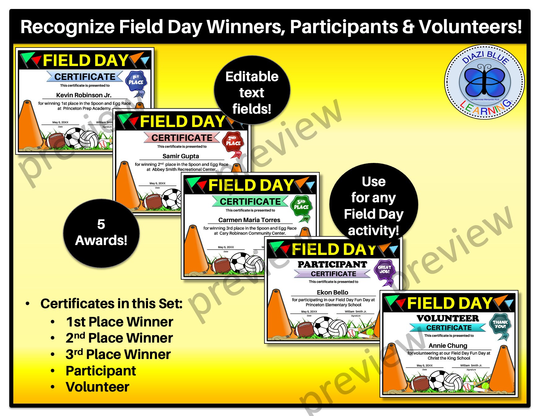 Field Day Award Set #2, Editable Field Day Certificate PDF, Field Day ...
