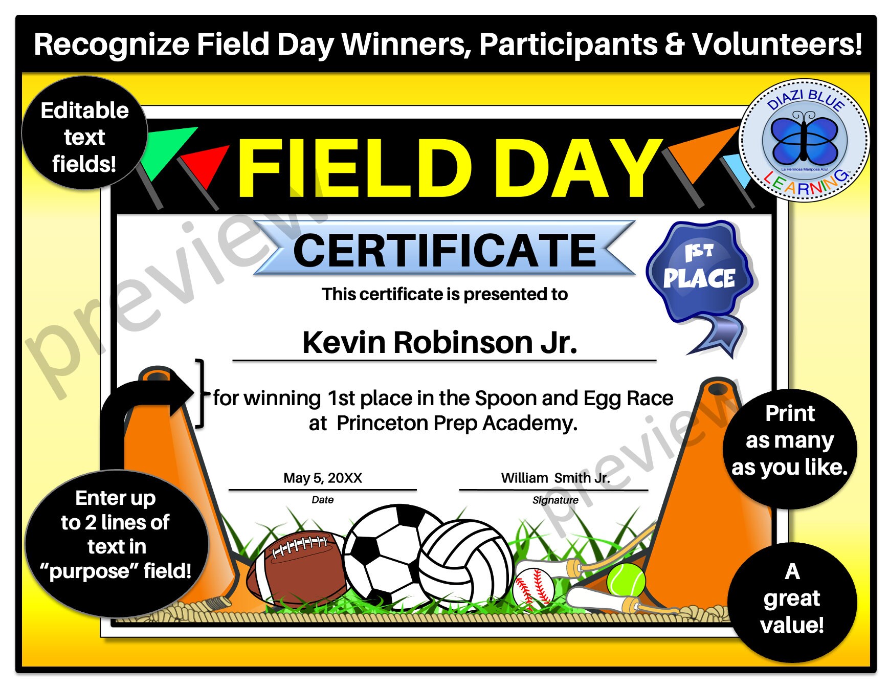 Field Day Award Set #2, Editable Field Day Certificate PDF, Field Day ...