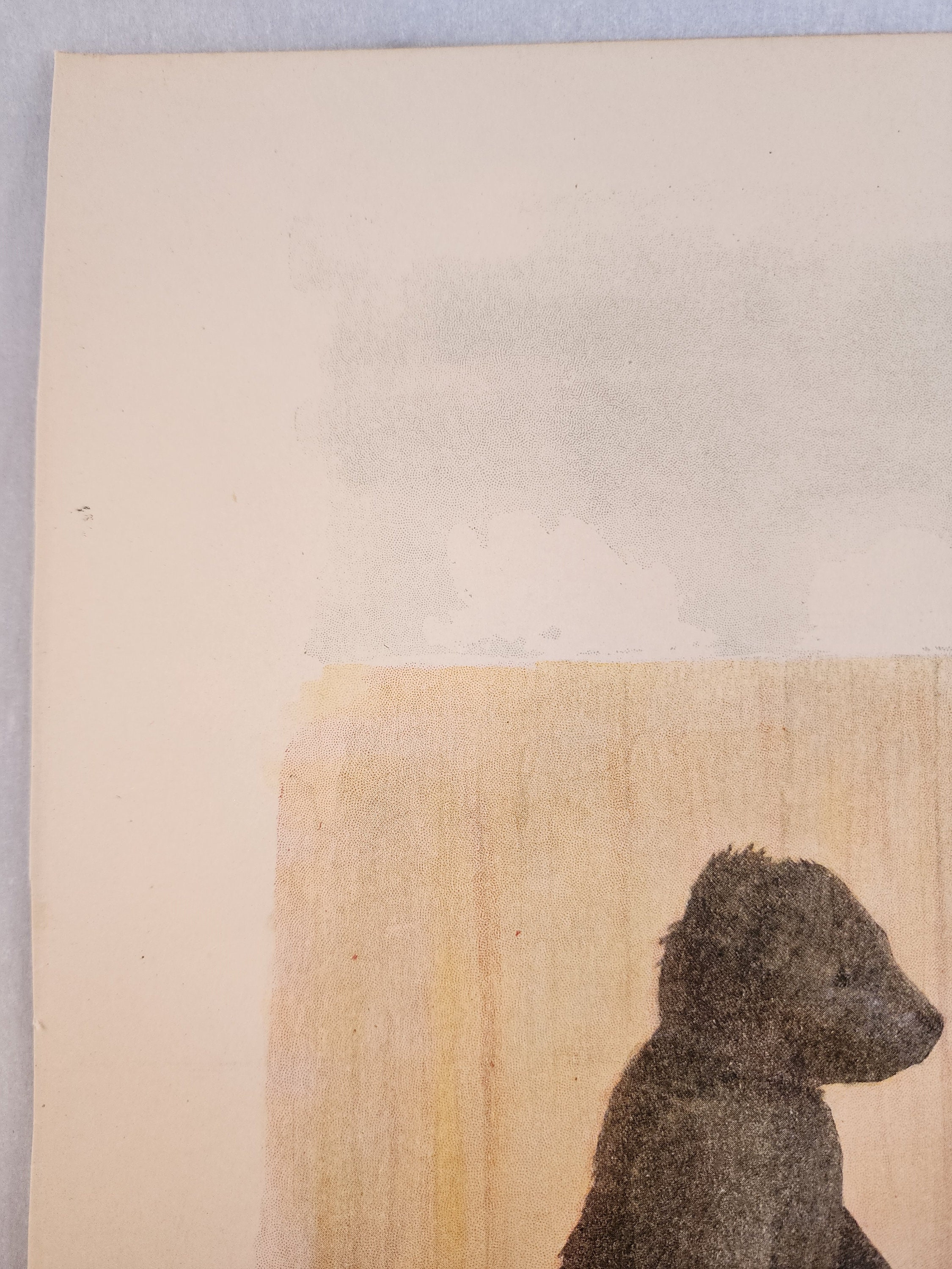 Vintage Children's Print: "mother Goose's Teddy Bears" to Bonner Print ...
