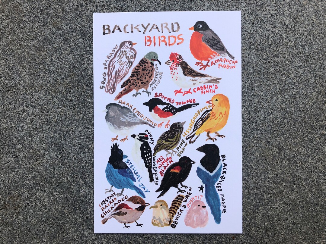 Backyard Birds Mini Posters /6x9 Poster/ Art Print/ Super Premium Paper ...