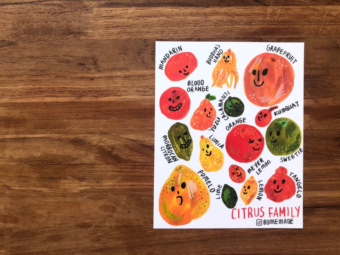 Citrus Family Sticker Sheet - Etsy