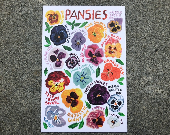 Pansies Mini Posters /6x9 Poster/ Art Print/ Super Premium Paper 32pt ...