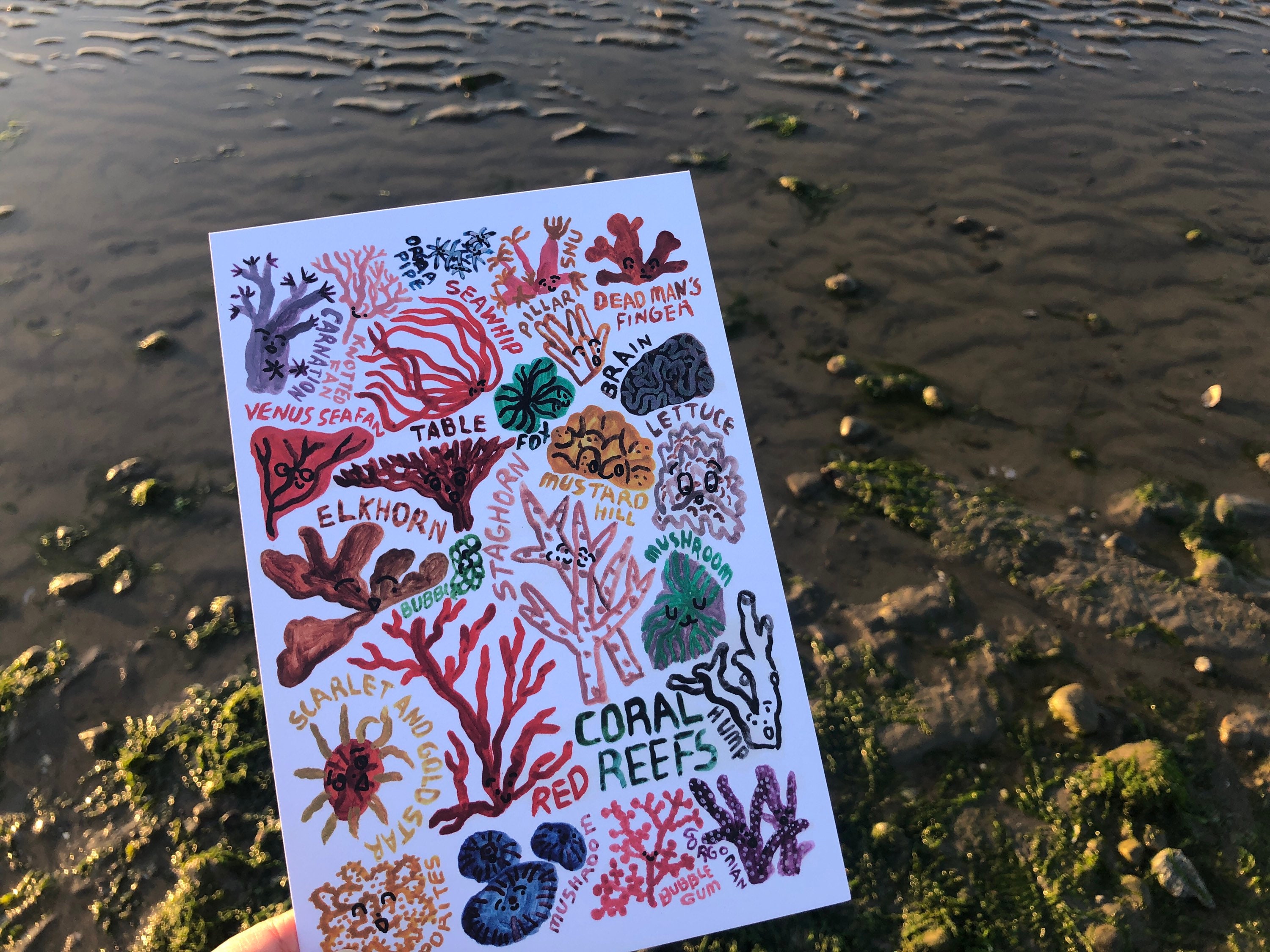 Coral Reefs Mini Posters /6x9 Poster/ Art Print/ Super Premium Paper ...