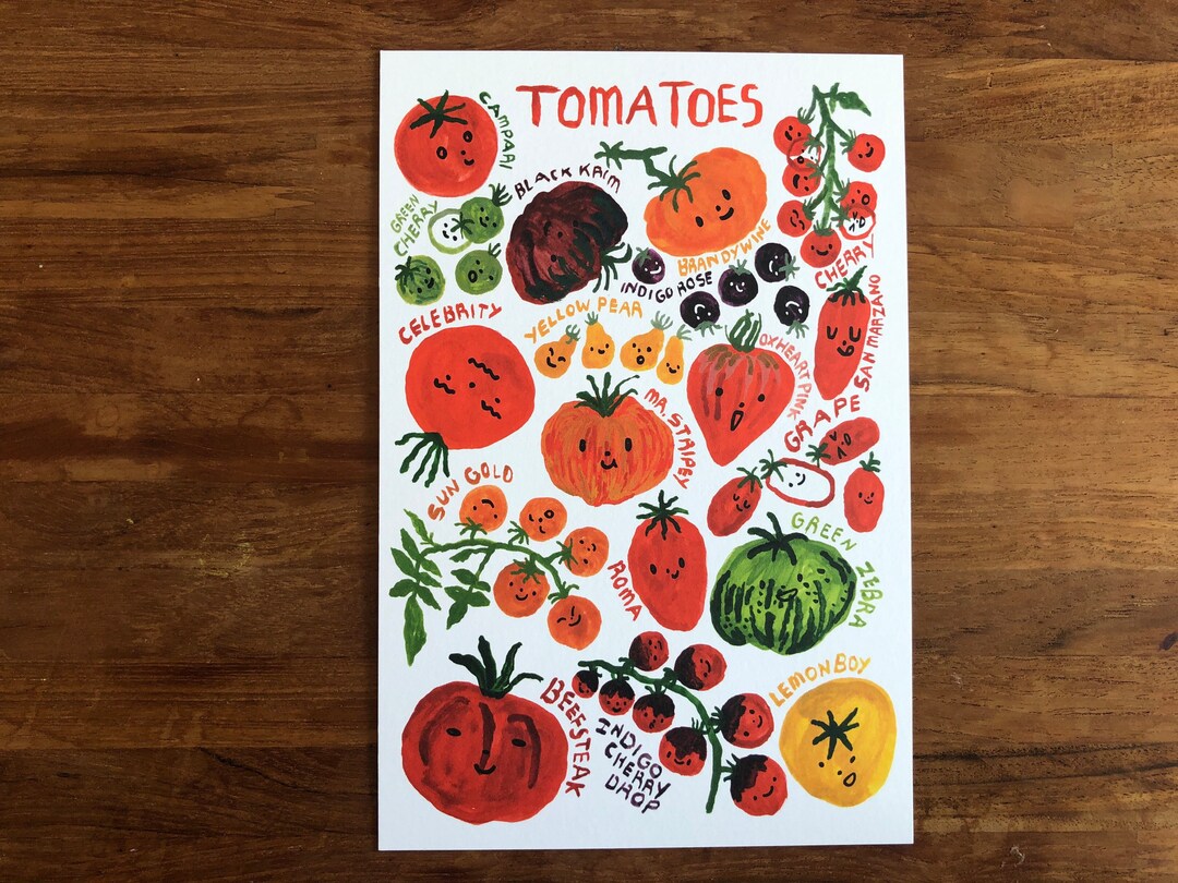 Tomatoes Mini Posters /6x9 Poster/ Art Print/ Super Premium Paper 32pt ...