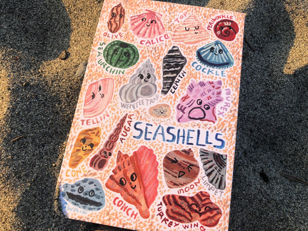 Seashells Mini Posters /6x9 Poster/ Art Print/ Super Premium Paper 32pt ...
