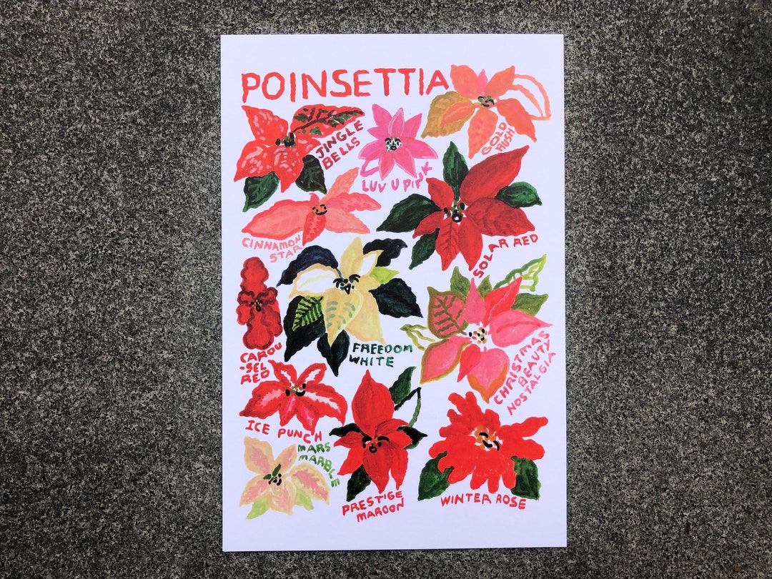 Poinsettia Mini Posters /6x9 Poster/ Art Print/ Super Premium - Etsy