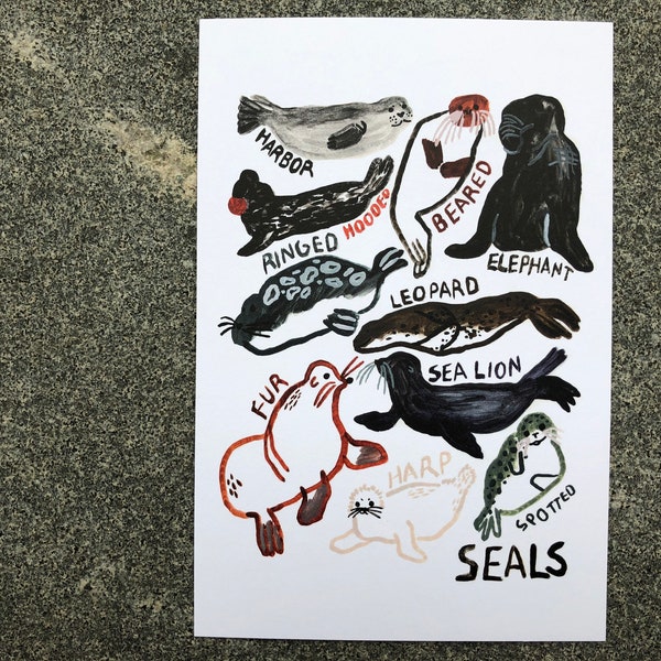 Seal Poster - Etsy