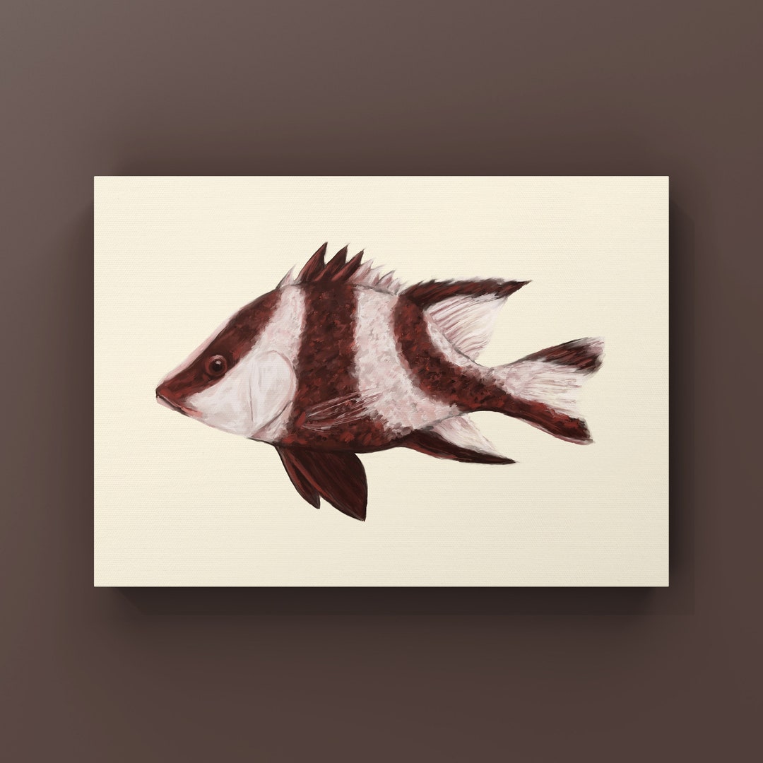 Emperor Red Snapper Fish Print | Physical Fish Decor | Fish Postcard ...