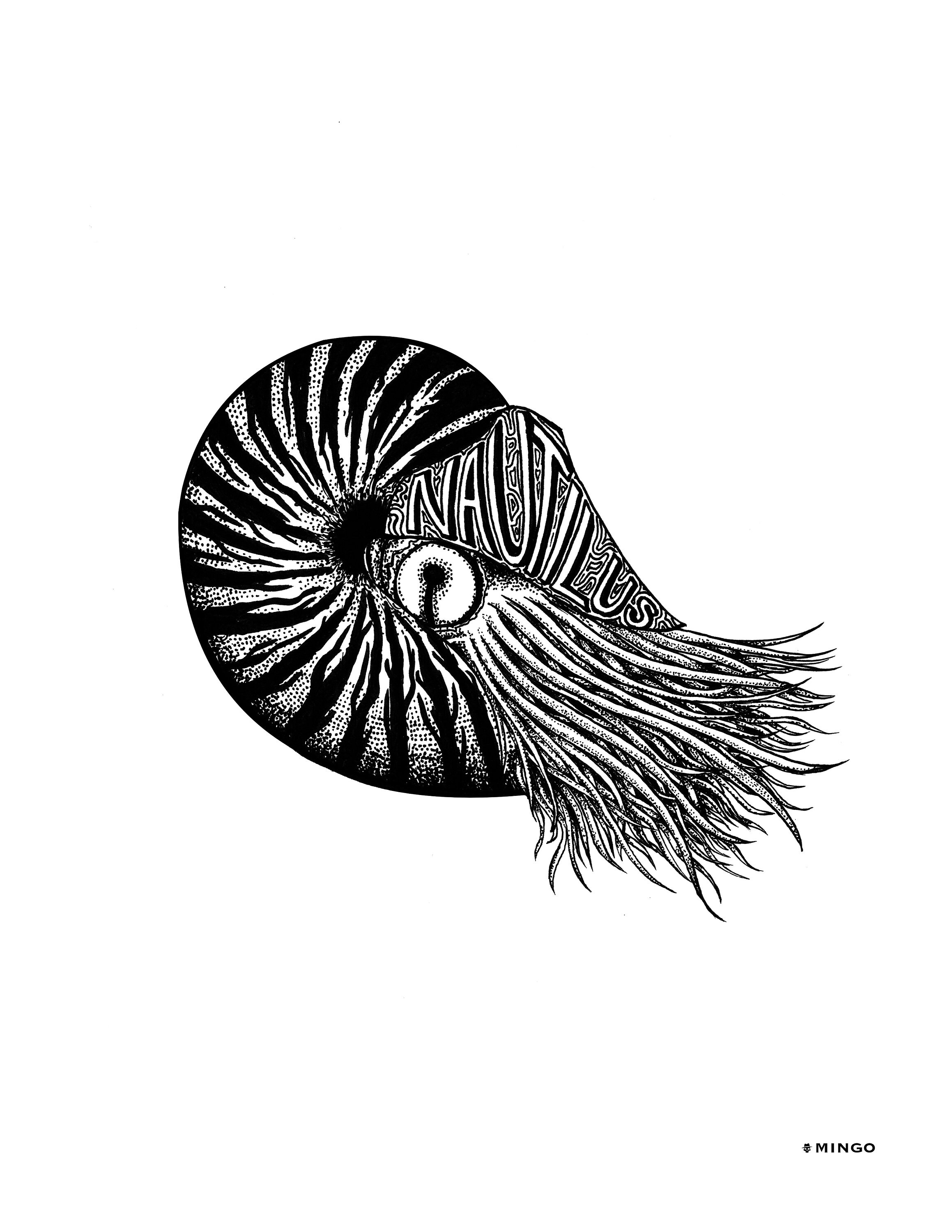 The Nautilus Tropical Fish | ppgbbe.intranet.biologia.ufrj.br
