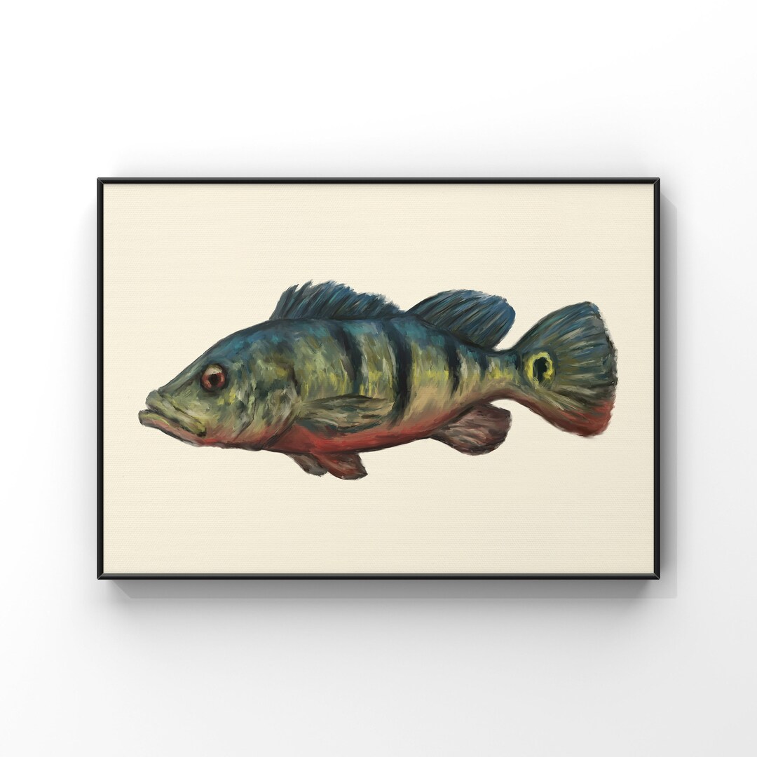 Peacock Bass Fish Print Physical Fish Decor Fish Postcard - Etsy