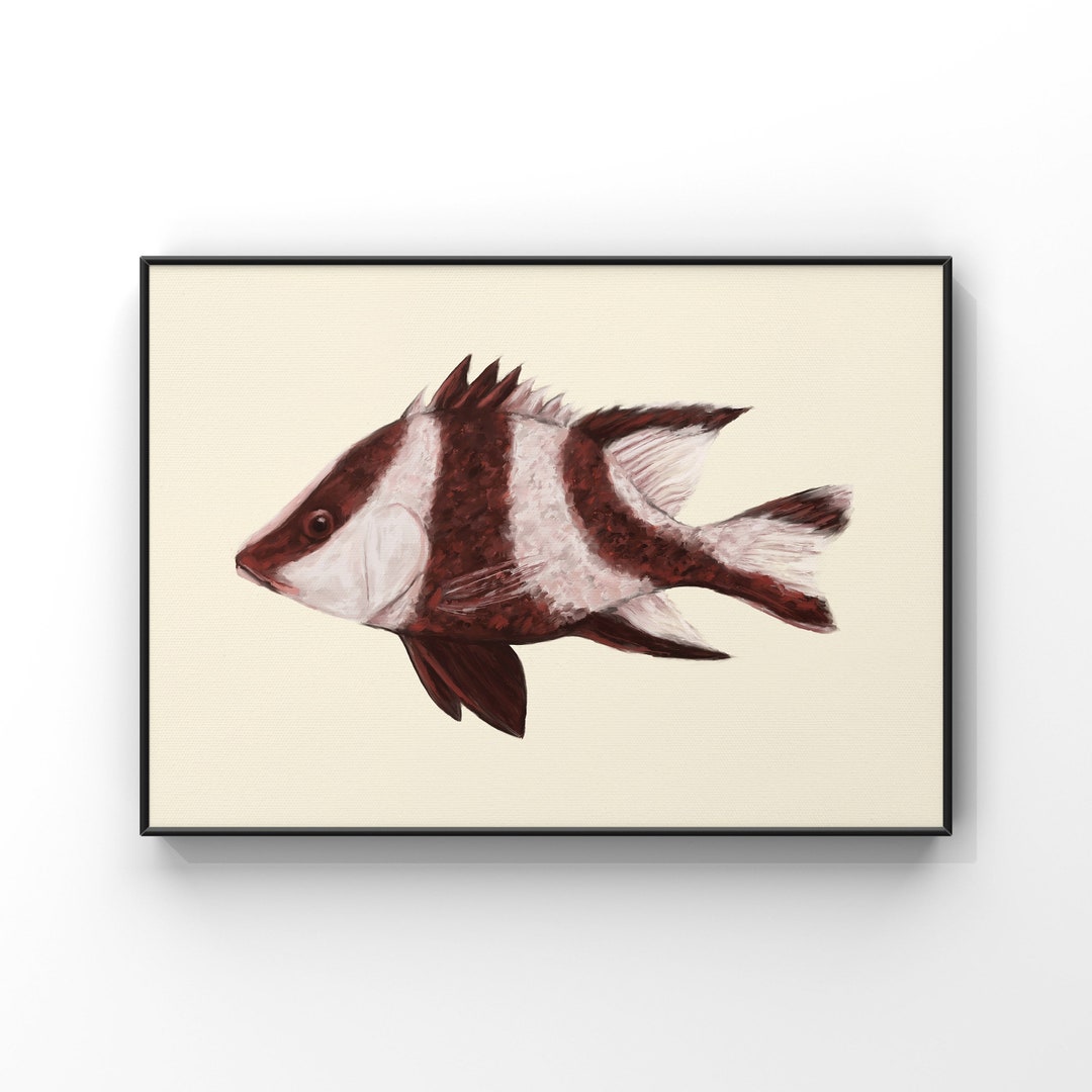 Emperor Red Snapper Fish Print Physical Fish Decor Fish Postcard Fish ...