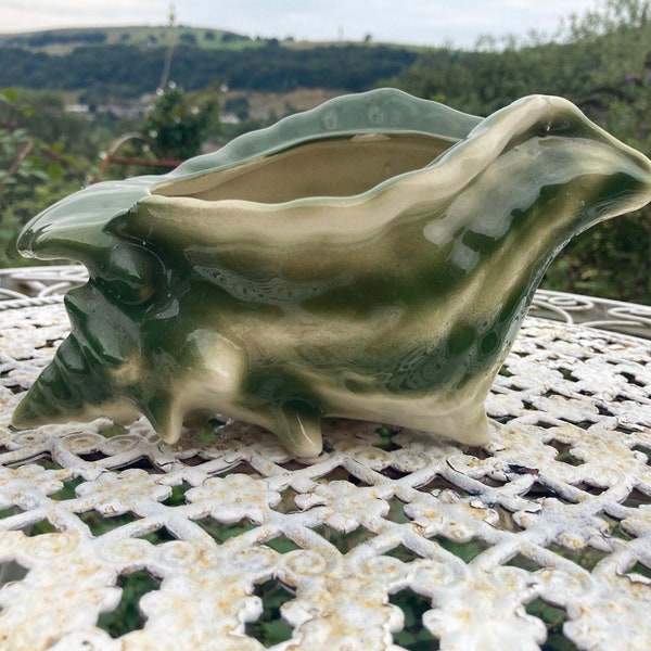 Conch Shell Planter - Etsy
