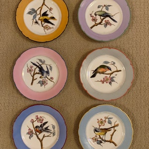 Hand Painted Bird Luncheon Plates -set of Six - Etsy