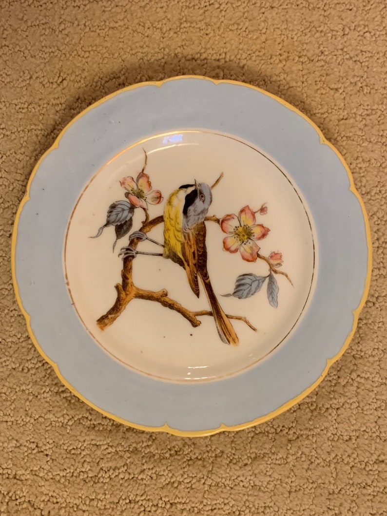 Hand Painted Bird Luncheon Plates -set of Six - Etsy