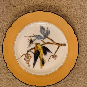 Hand Painted Bird Luncheon Plates -set of Six - Etsy