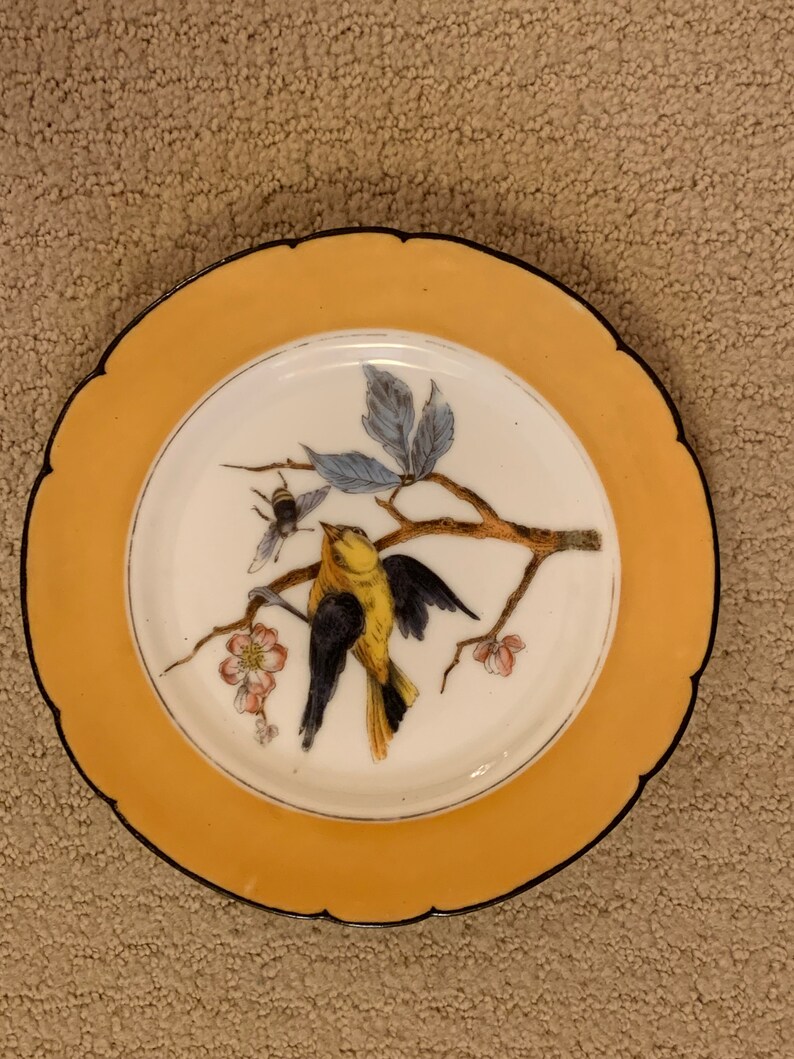 Hand Painted Bird Luncheon Plates -set of Six - Etsy