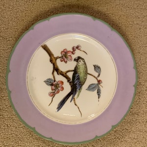 Hand Painted Bird Luncheon Plates -set of Six - Etsy