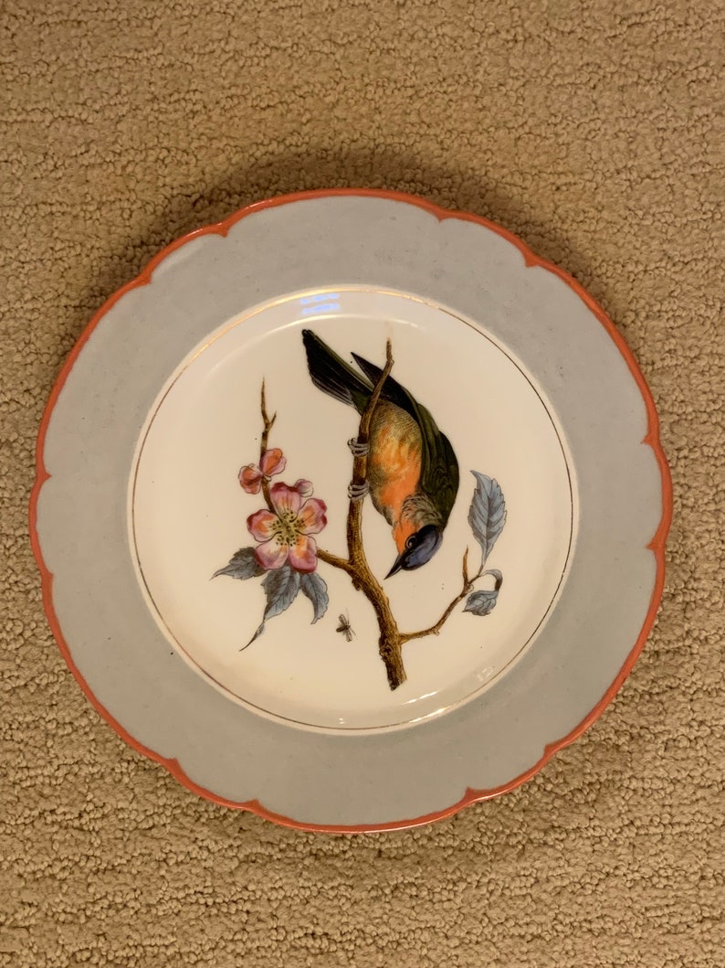 Hand Painted Bird Luncheon Plates -set of Six - Etsy