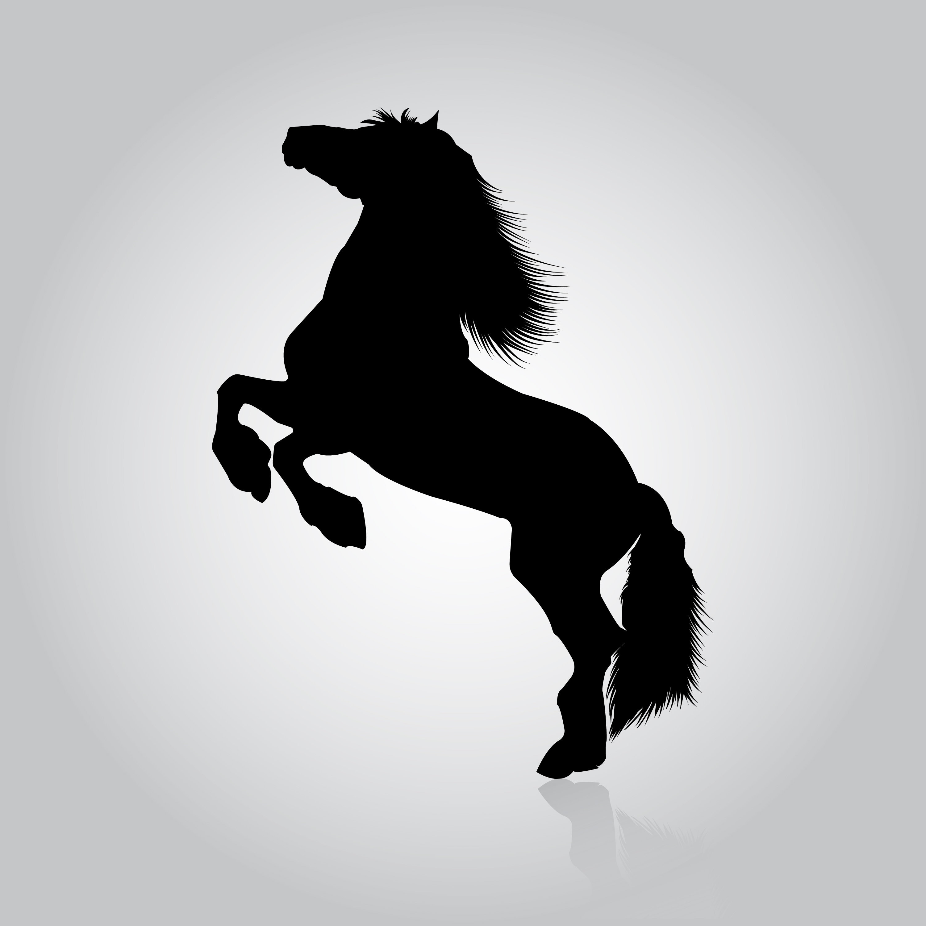 Pferde Silhouette Vektor Svg laufende Pferde Svg - Etsy.de