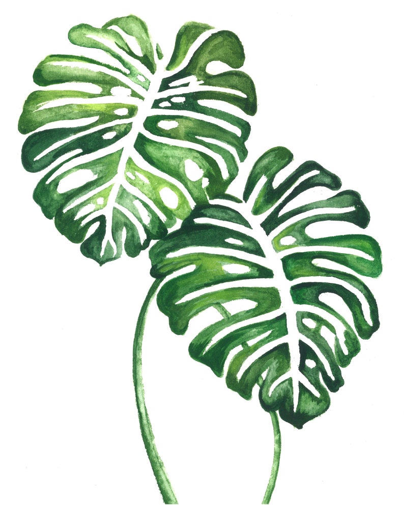 Monstera Original Watercolor Painting | Unframed Print - Etsy