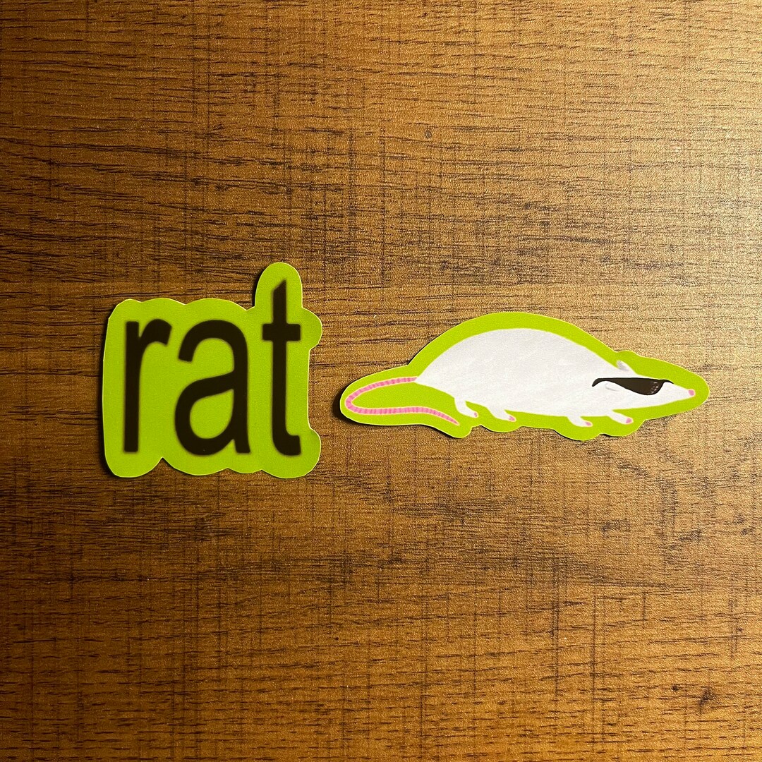Rat Summer Sticker Set - Etsy